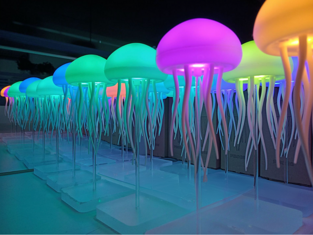 About Us – Jellyflow